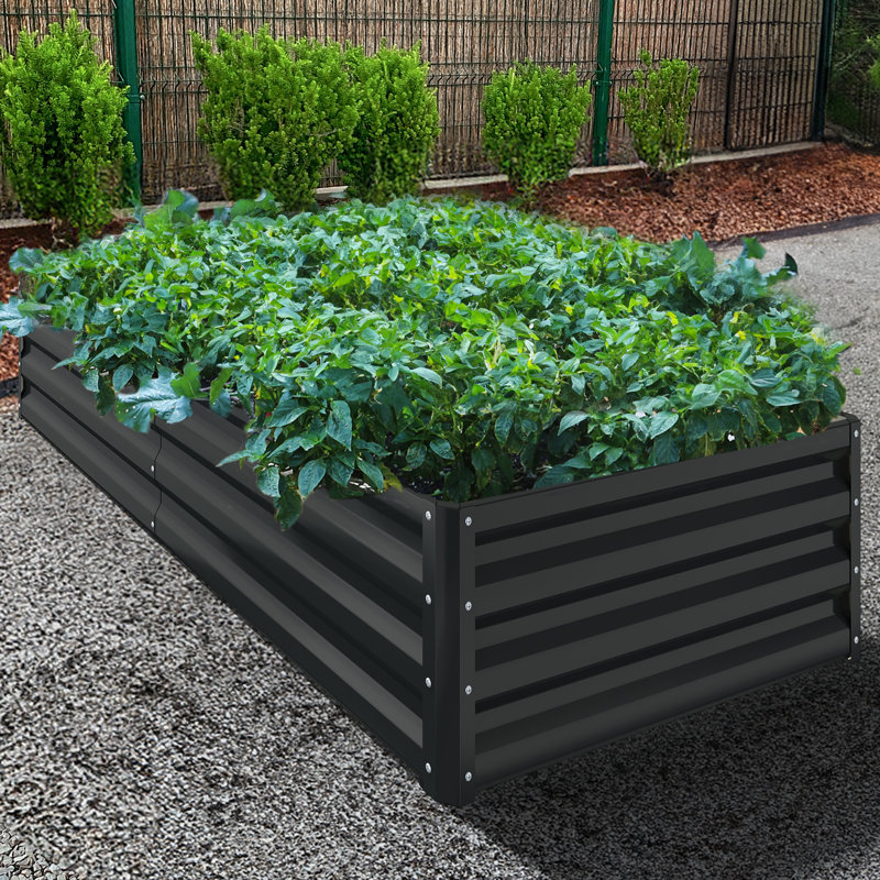Raised garden bed wayfair store
